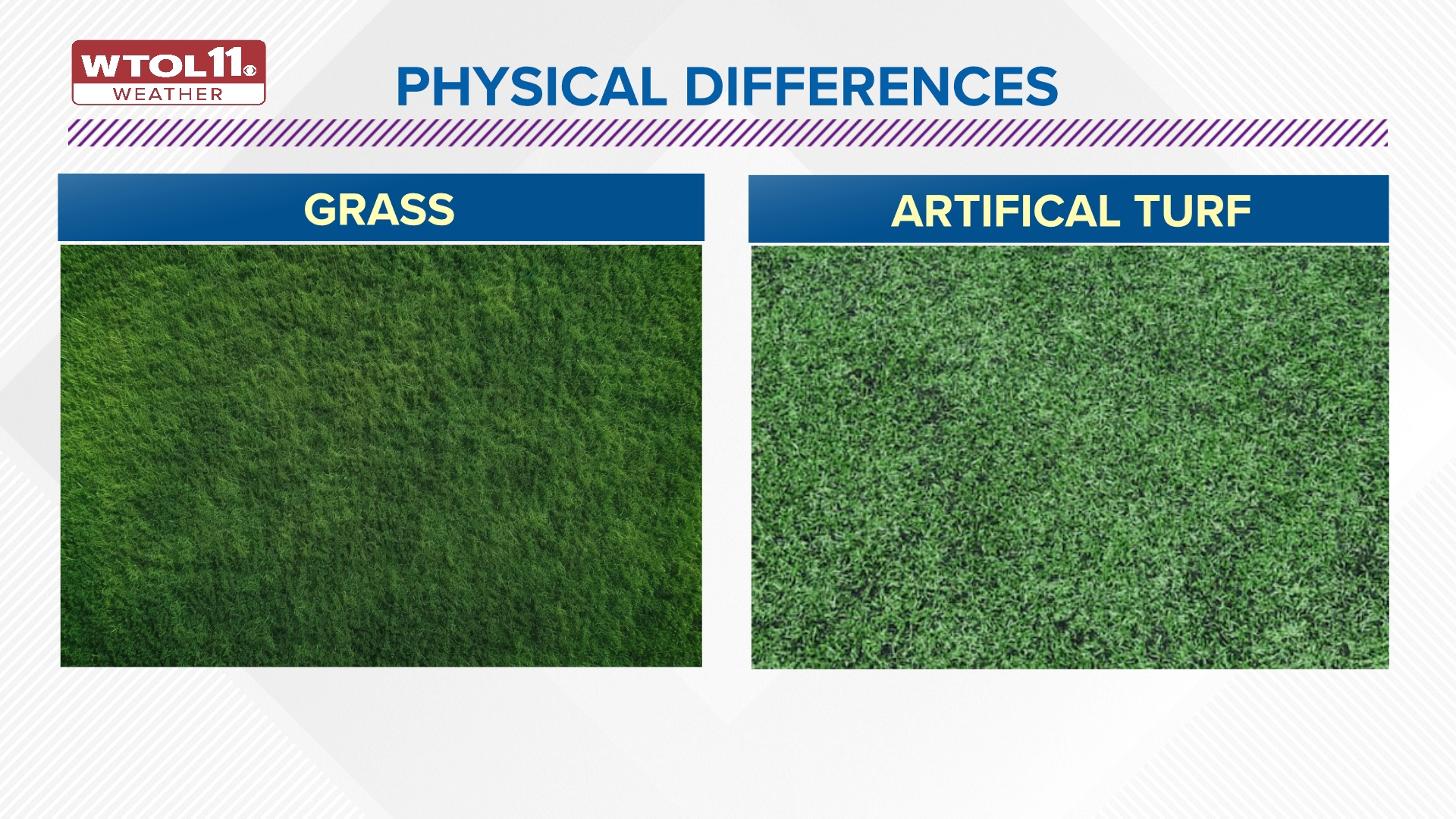Is grass or artificial turf better for the environment? | wtol.com