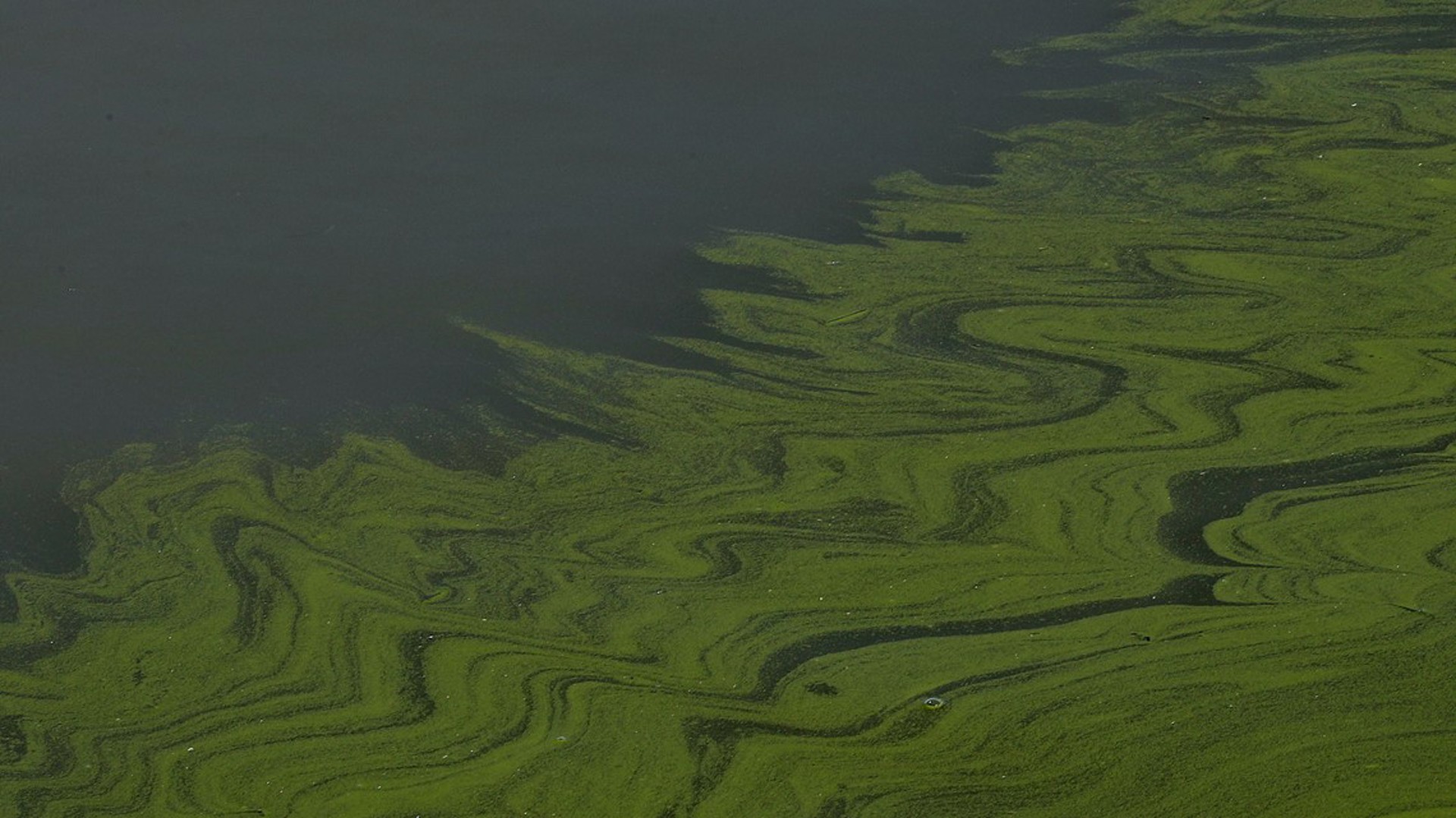 TIMELINE | A look back at the 2014 water crisis | wtol.com