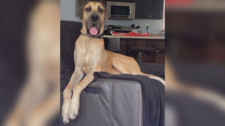 YMCA of Greater Toledo unveils pivot from 2021 expansion plans | wtol.com