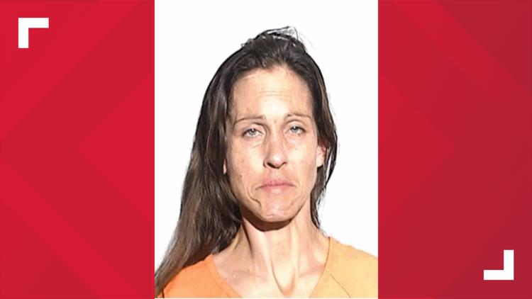 Police: Person arrested for pursuit Wednesday in Toledo, Sylvania ...