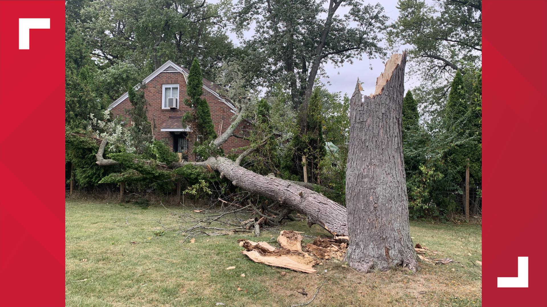 Trees fall in south Toledo as remnants of Hurricane Helene felt | wtol.com