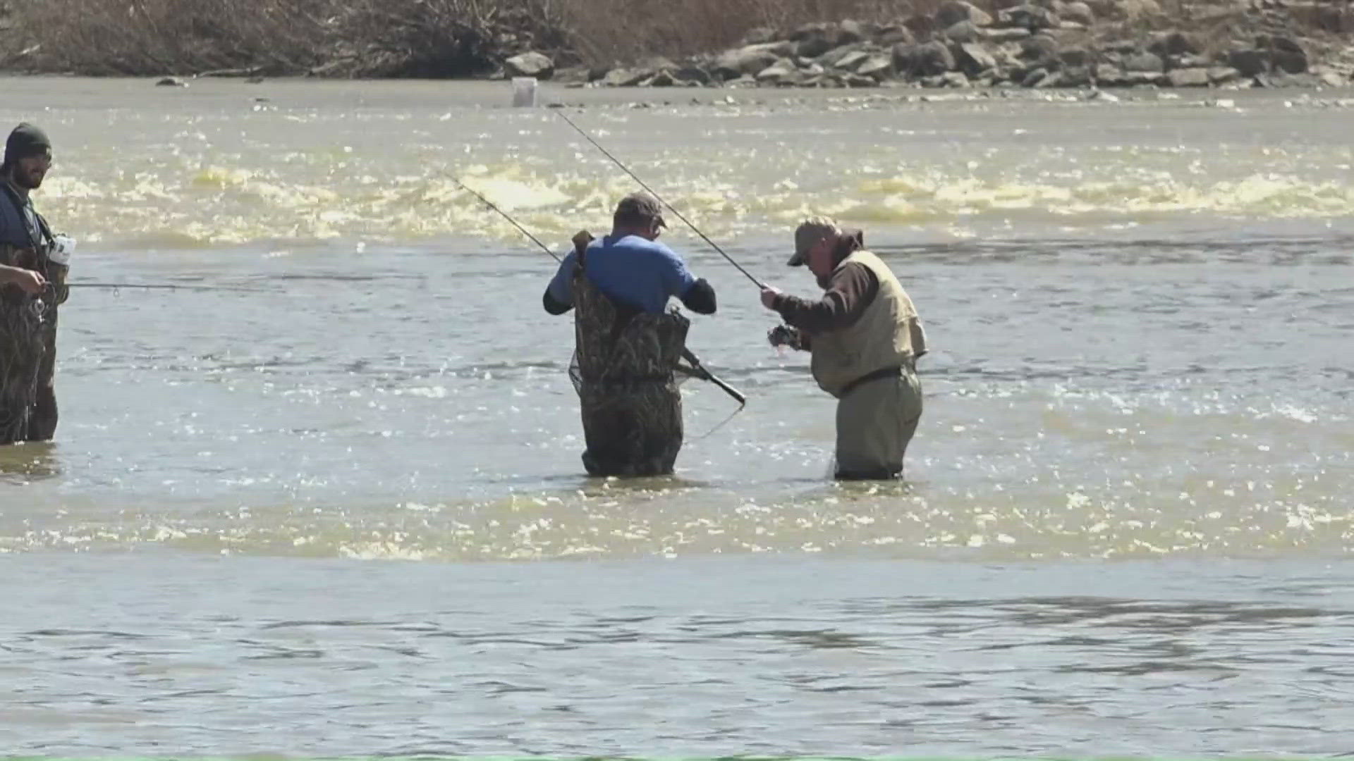 Drought threatens Maumee River's famed Walleye Run | wtol.com