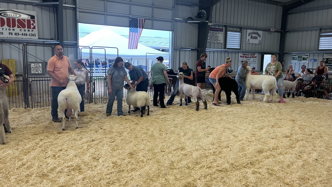 Seneca County Fair attendees brave heat, humidity | wtol.com
