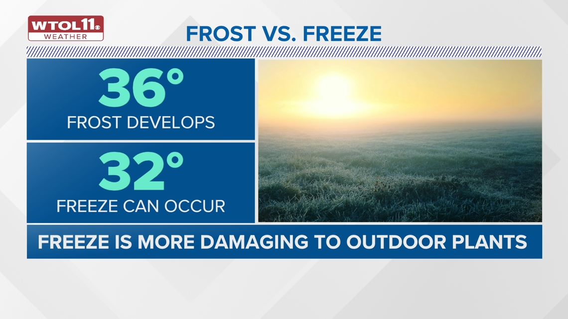 Freeze watch: What is a freeze warning? What is a frost advisory ...