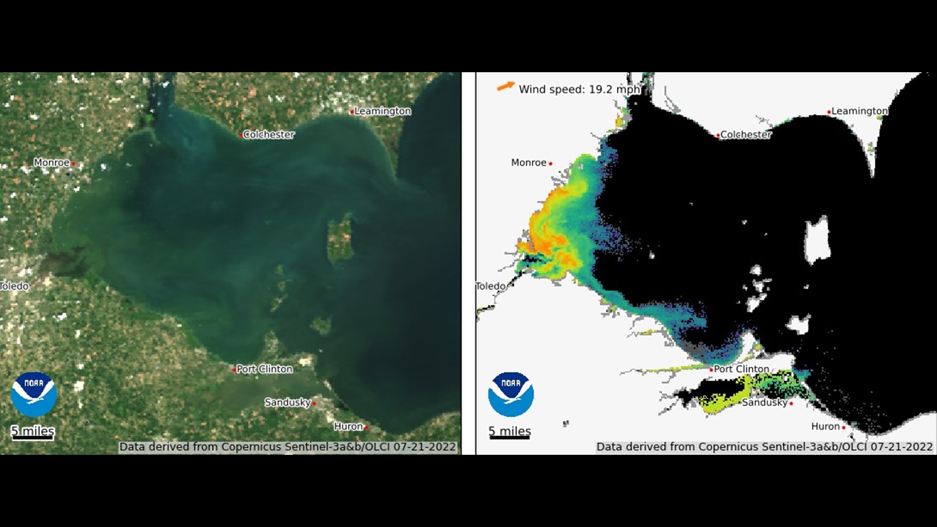 Harmful algal blooms in Lake Erie affect property values | wtol.com