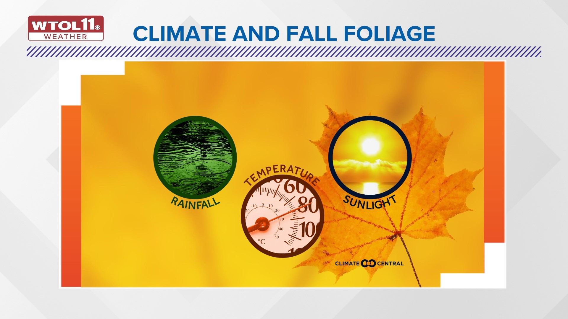 Climate Friday | When to expect fall colors | wtol.com