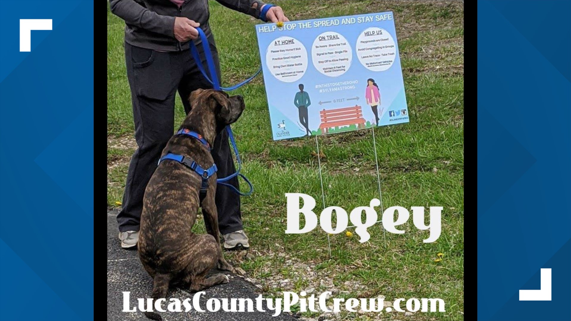 What happened to Bogey's owner? | wtol.com