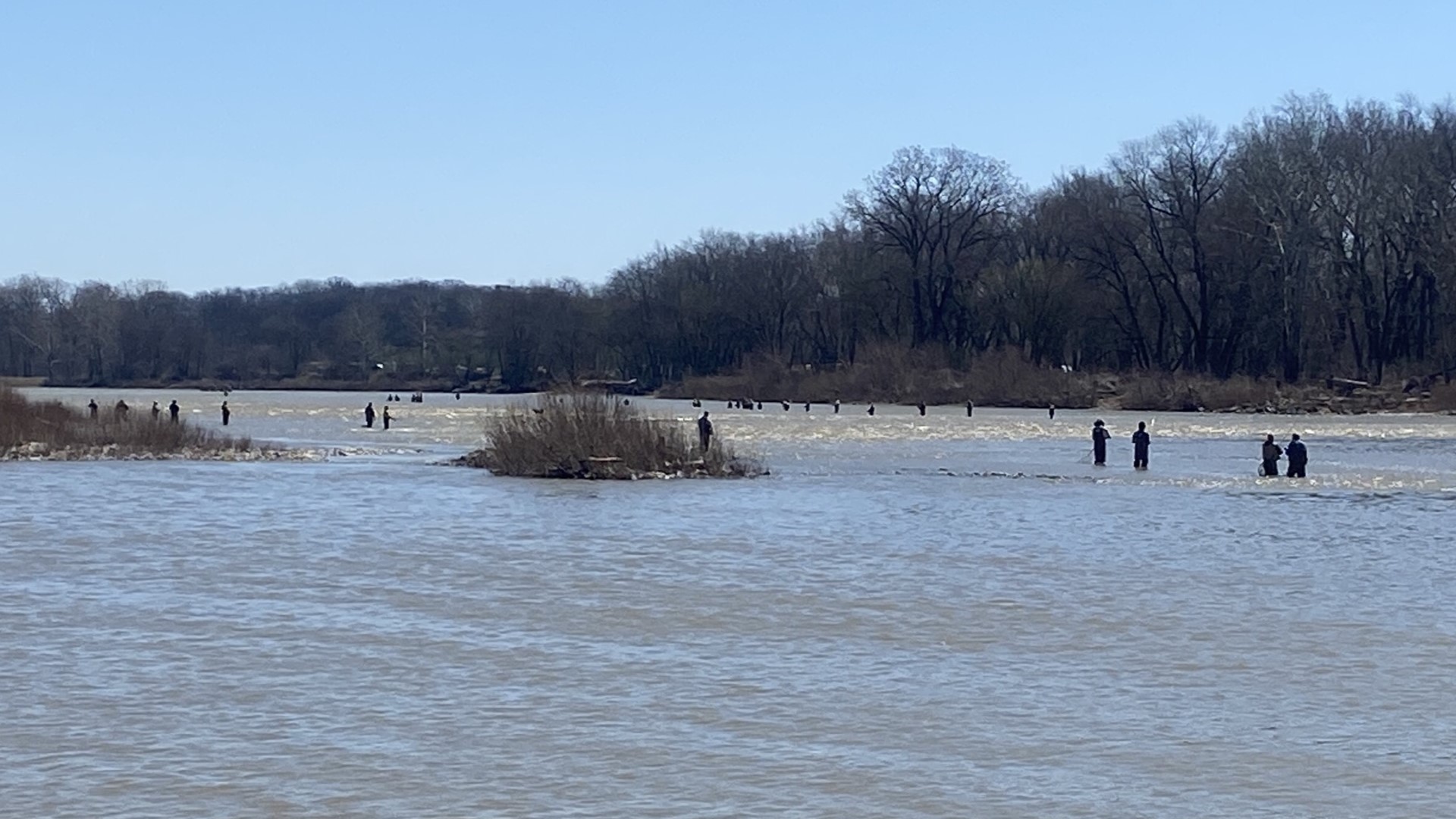 Warm weather creates ideal conditions for walleye run | wtol.com