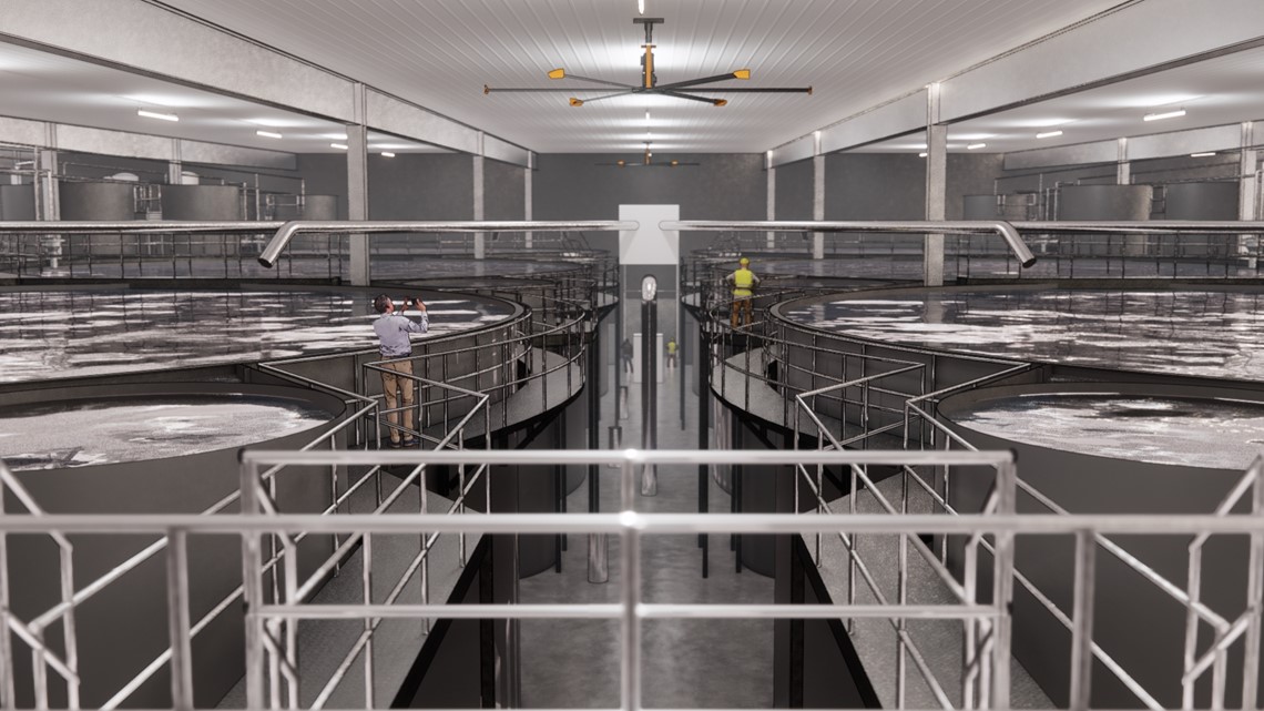 2024 Lucas County property values finalized in AREIS | wtol.com