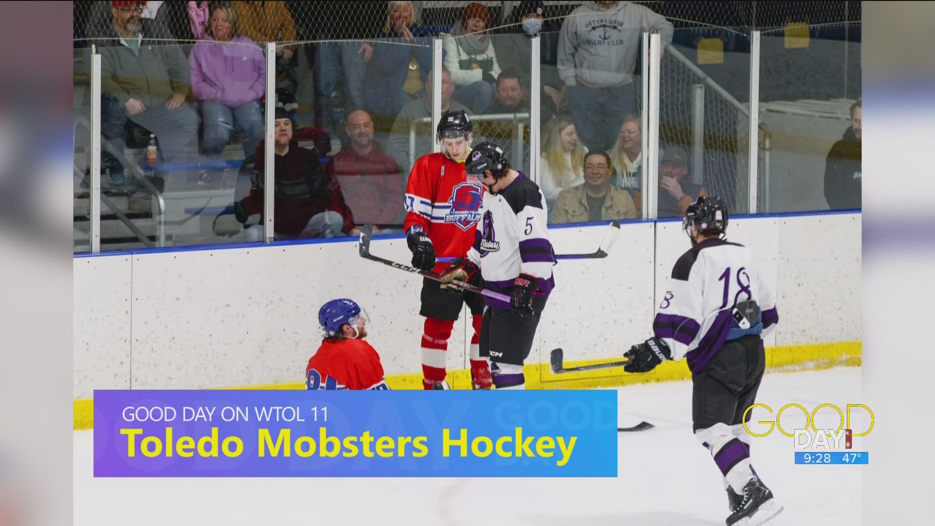 Toledo Mobsters take to the ice | Good Day on WTOL 11 | wtol.com
