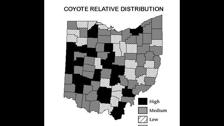 Map of coyote population in Northwest Ohio | wtol.com