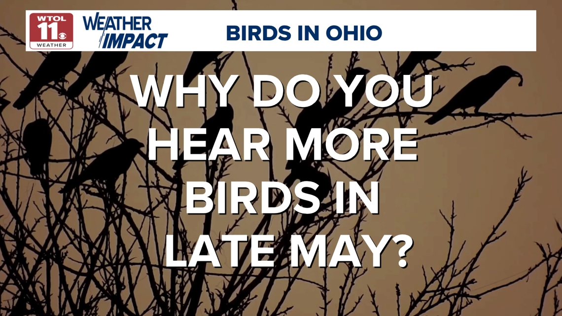 New Wayman D. Palmer YMCA building aims to open new doors for ...