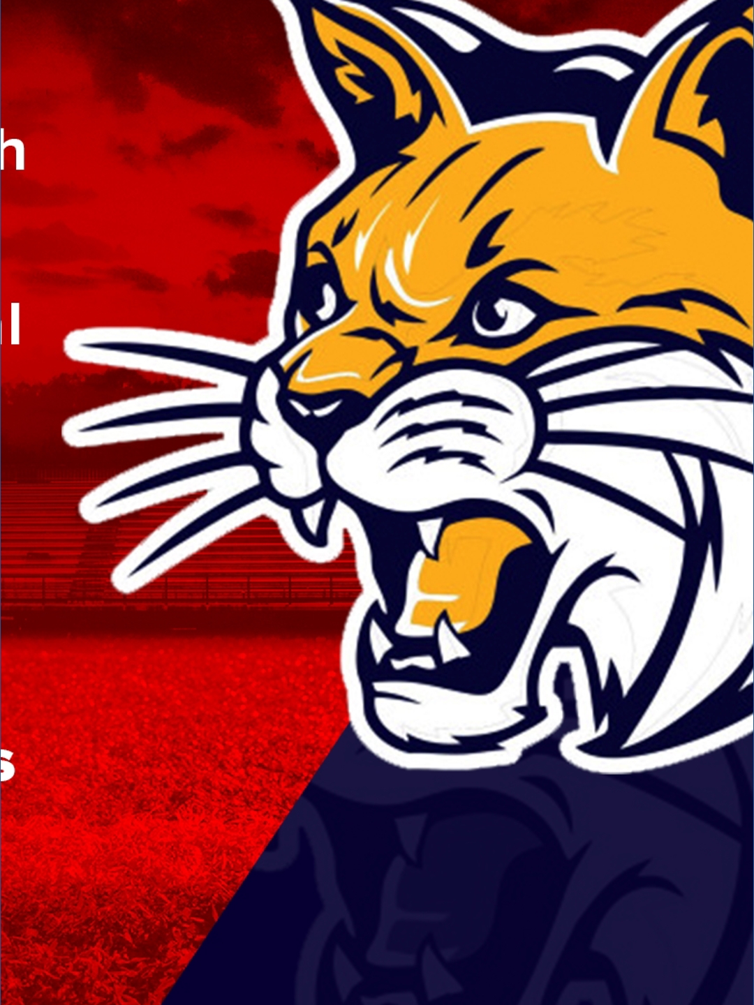 Whiteford Bobcats - Big Board Friday Countdown | wtol.com