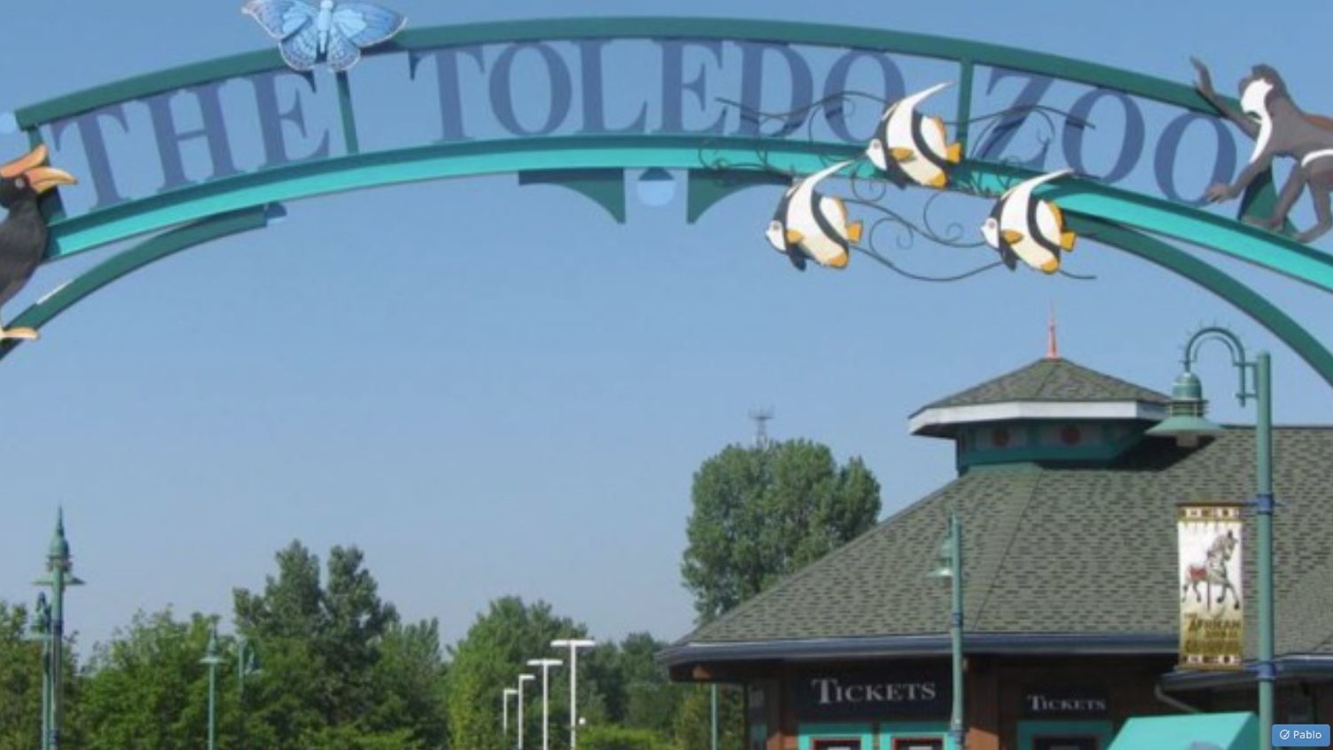 Toledo Zoo honored with Pinnacle Award | wtol.com