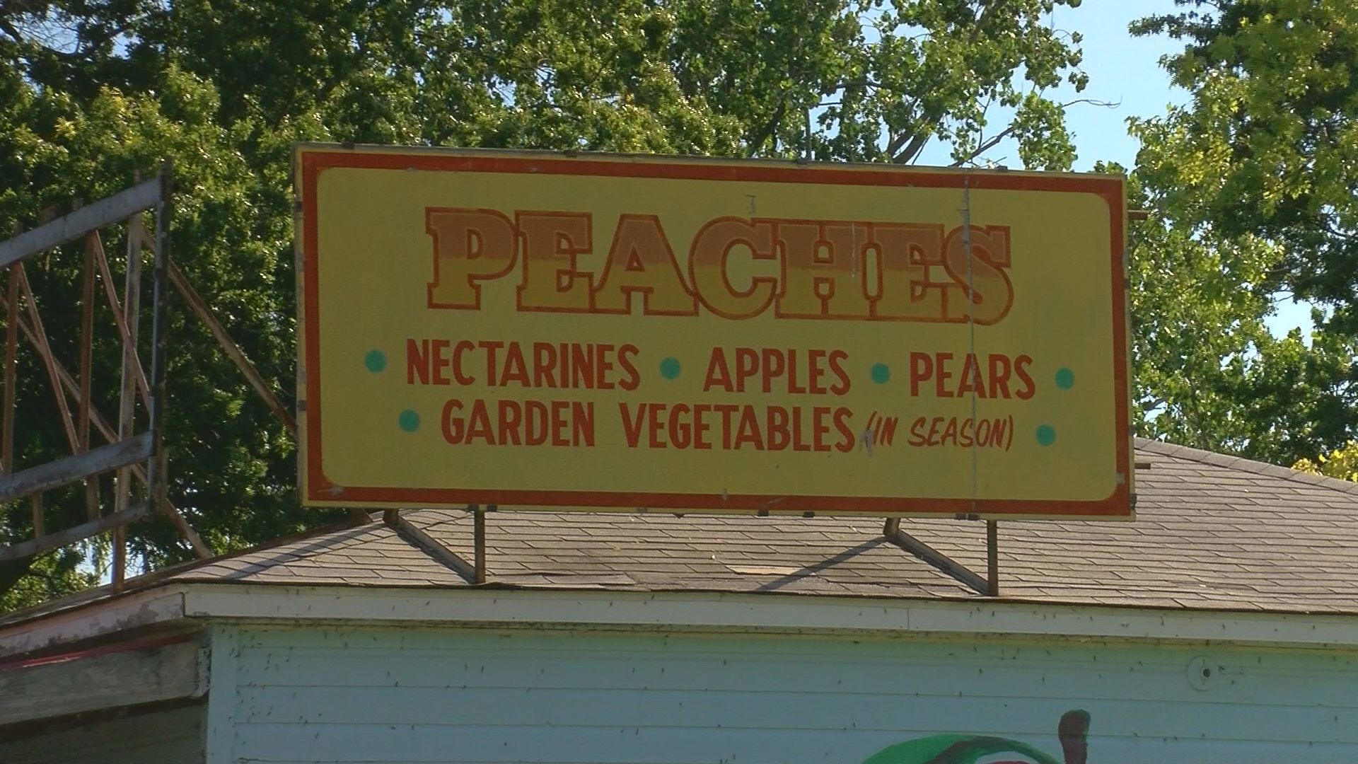 Hometown Spotlight: Schwan Orchards on Catawba Island | wtol.com
