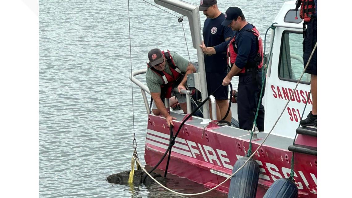 Ohio firefighters, dive team remove underwater hazards | wtol.com