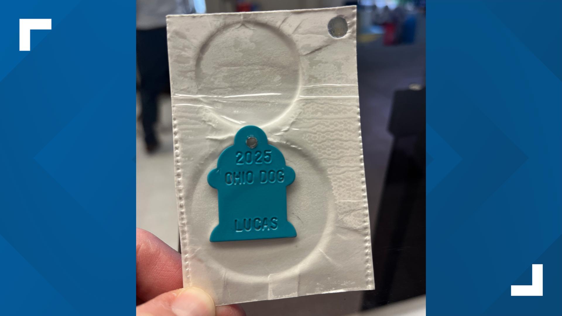 Lucas County dog licenses: How to get them | wtol.com