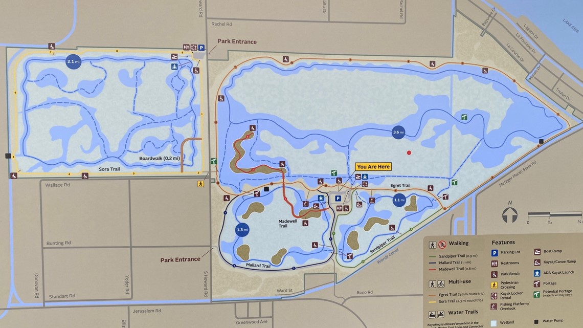 Go 419: Howard Marsh Metropark is hotspot for birdwatchers | wtol.com