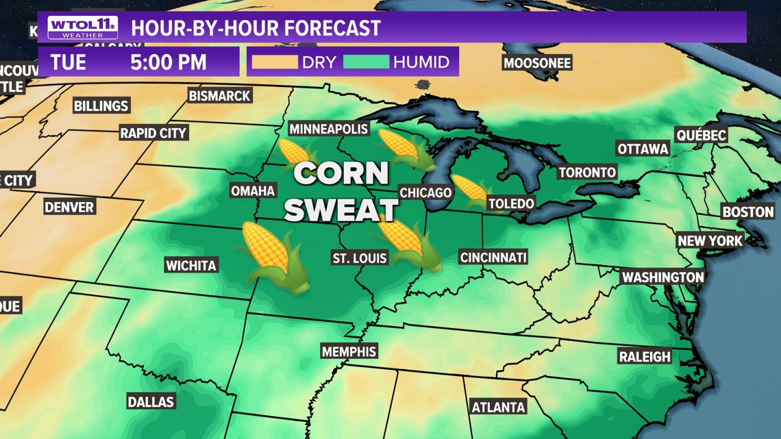'Corn sweat' in the Midwest contributes to heat, humidity | wtol.com