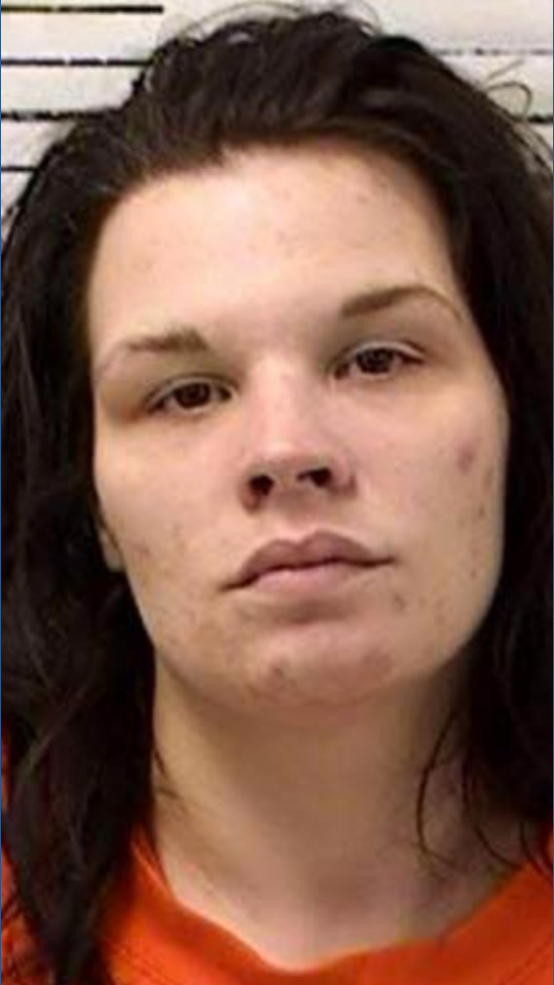 Ohio woman who pushed, injured deputy in court learns sentence | wtol.com