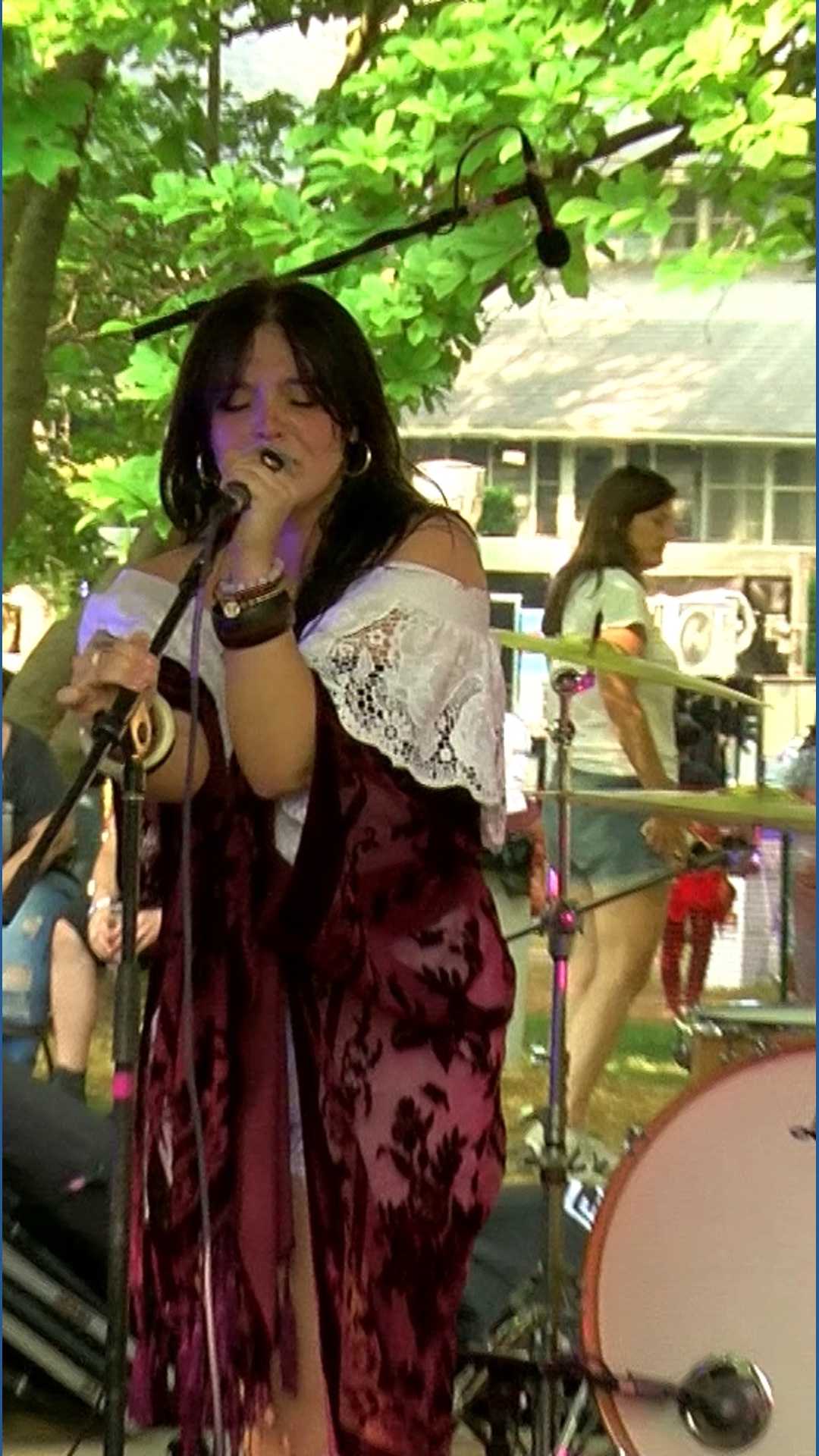 Toledo favorite, the Old West End Festival, celebrates another year ...