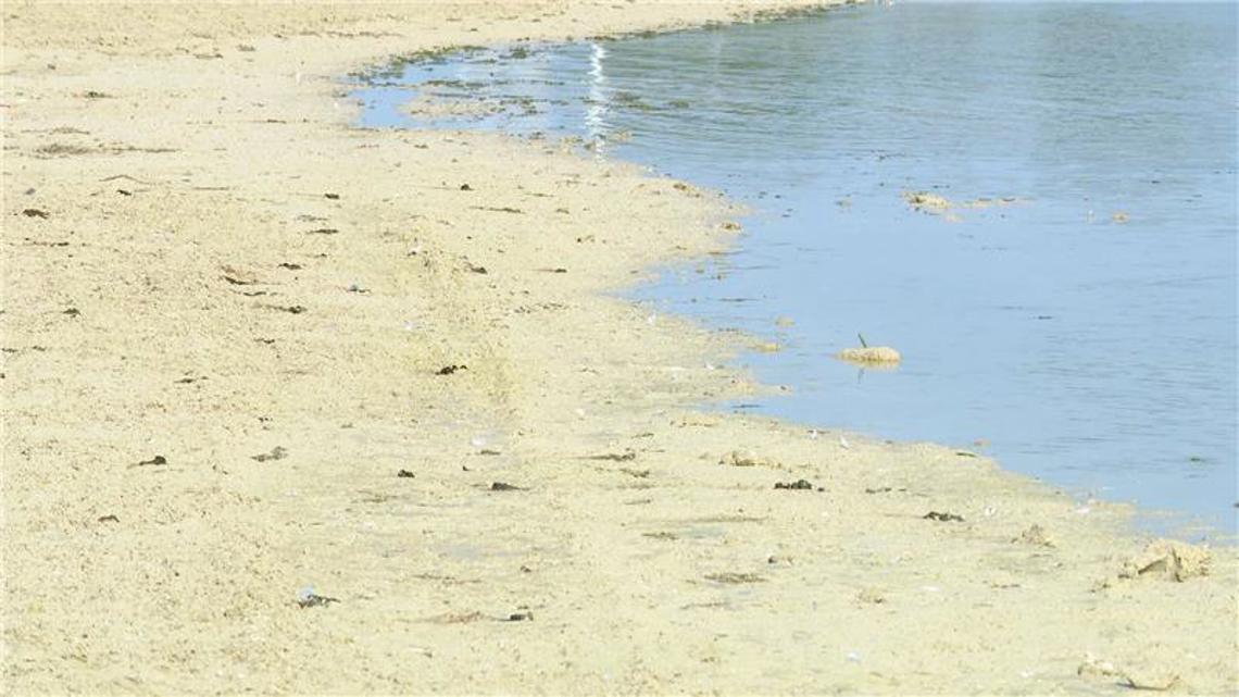 Bacteria contamination advisory issued at Maumee Bay State Park's ...