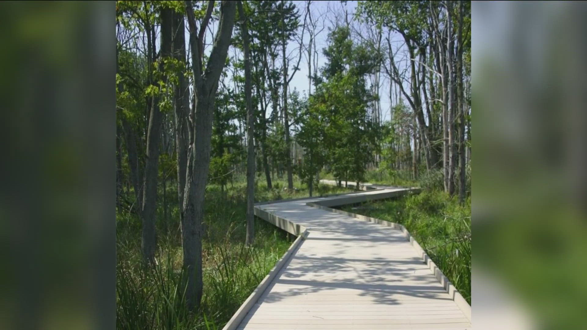 Maumee Bay park boardwalk reopens after repairs | wtol.com