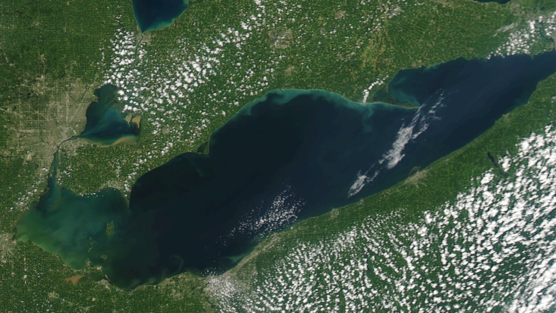 Lake Erie algal bloom: End of season update | wtol.com