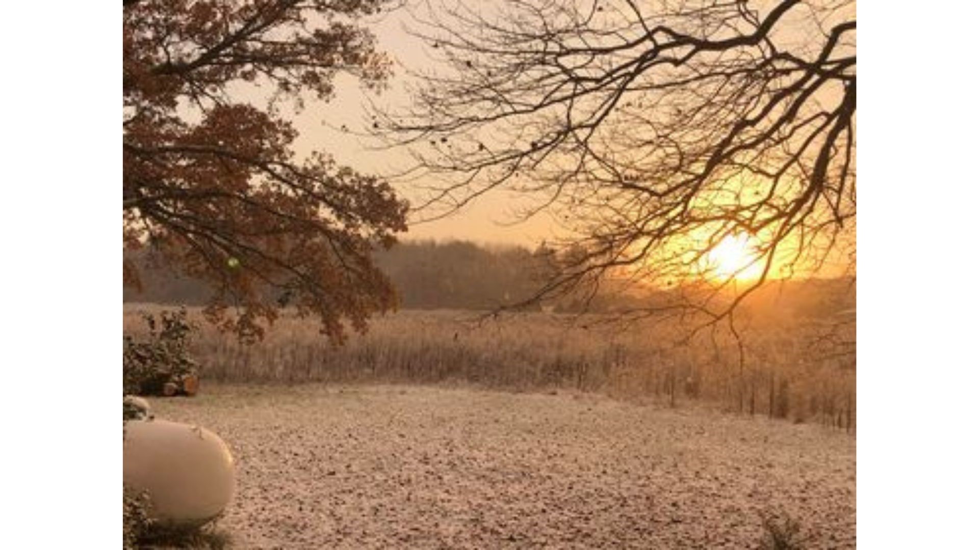 Halloween snowfall hits northwest Ohio | Photos | wtol.com