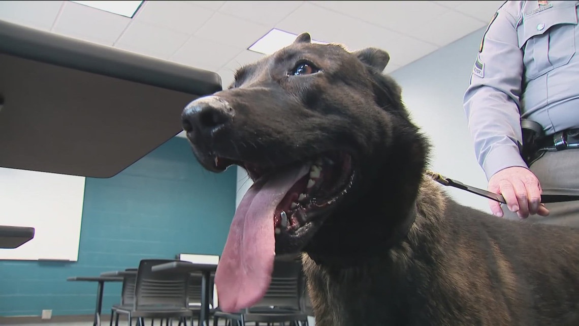Ohio State Highway Patrol graduates latest class of K-9s | wtol.com