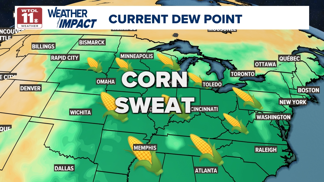 'Corn sweat' in the Midwest contributes to heat, humidity | wtol.com