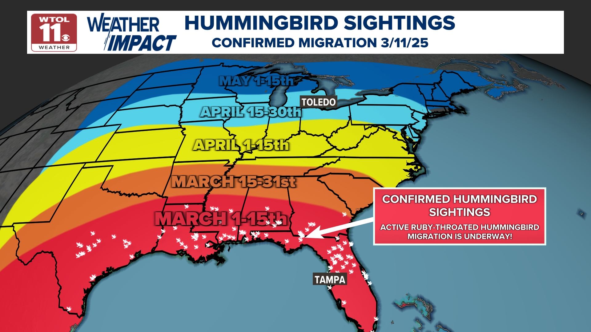 Annual ruby-throated hummingbird migration underway. Here's what to ...
