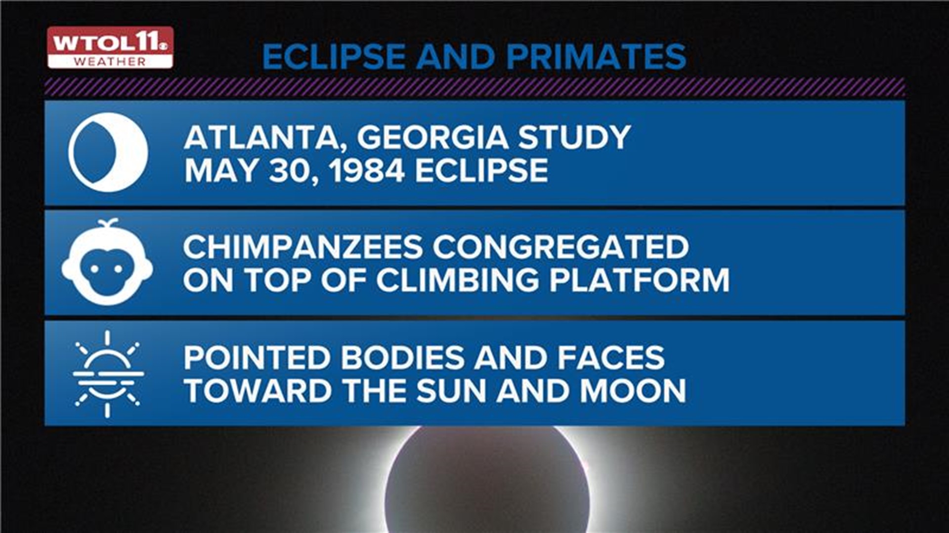 Solar eclipse and animal behavior | WTOL 11 Weather | wtol.com