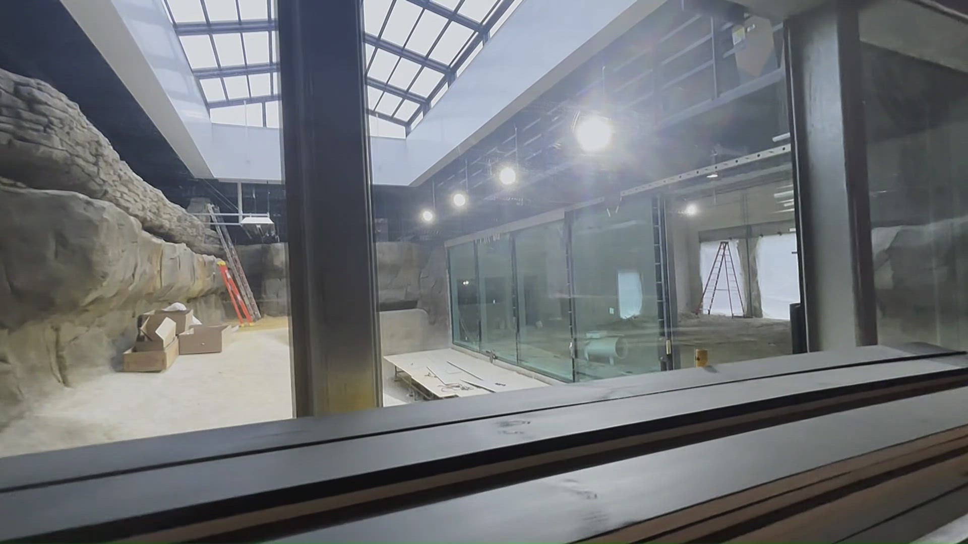 New crocodile exhibit anchors Reptile House renovation as Toledo Zoo ...