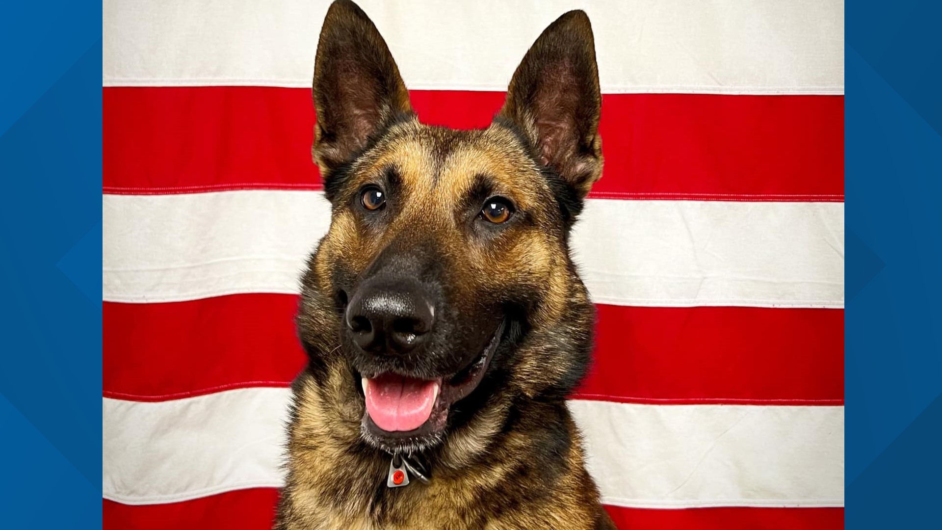 Fremont police debut new K9 Ace | wtol.com
