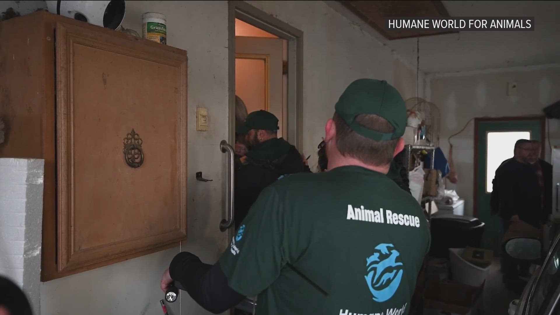 110 neglected animals removed from Sandusky County home, sheriff says ...