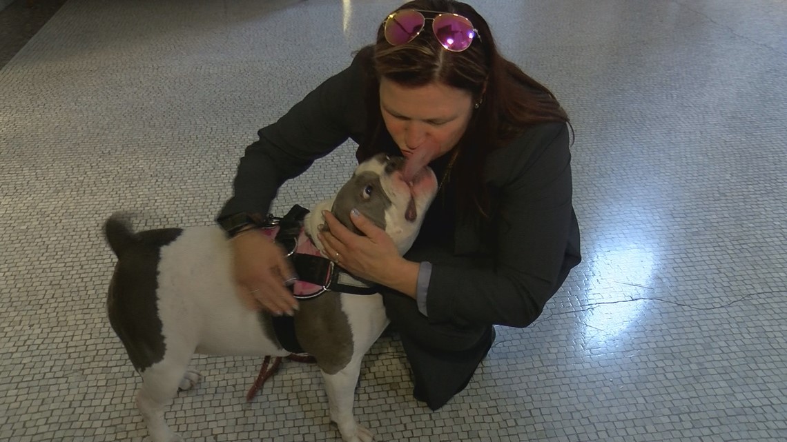 Dog and owner find justice two years after stabbing death | wtol.com
