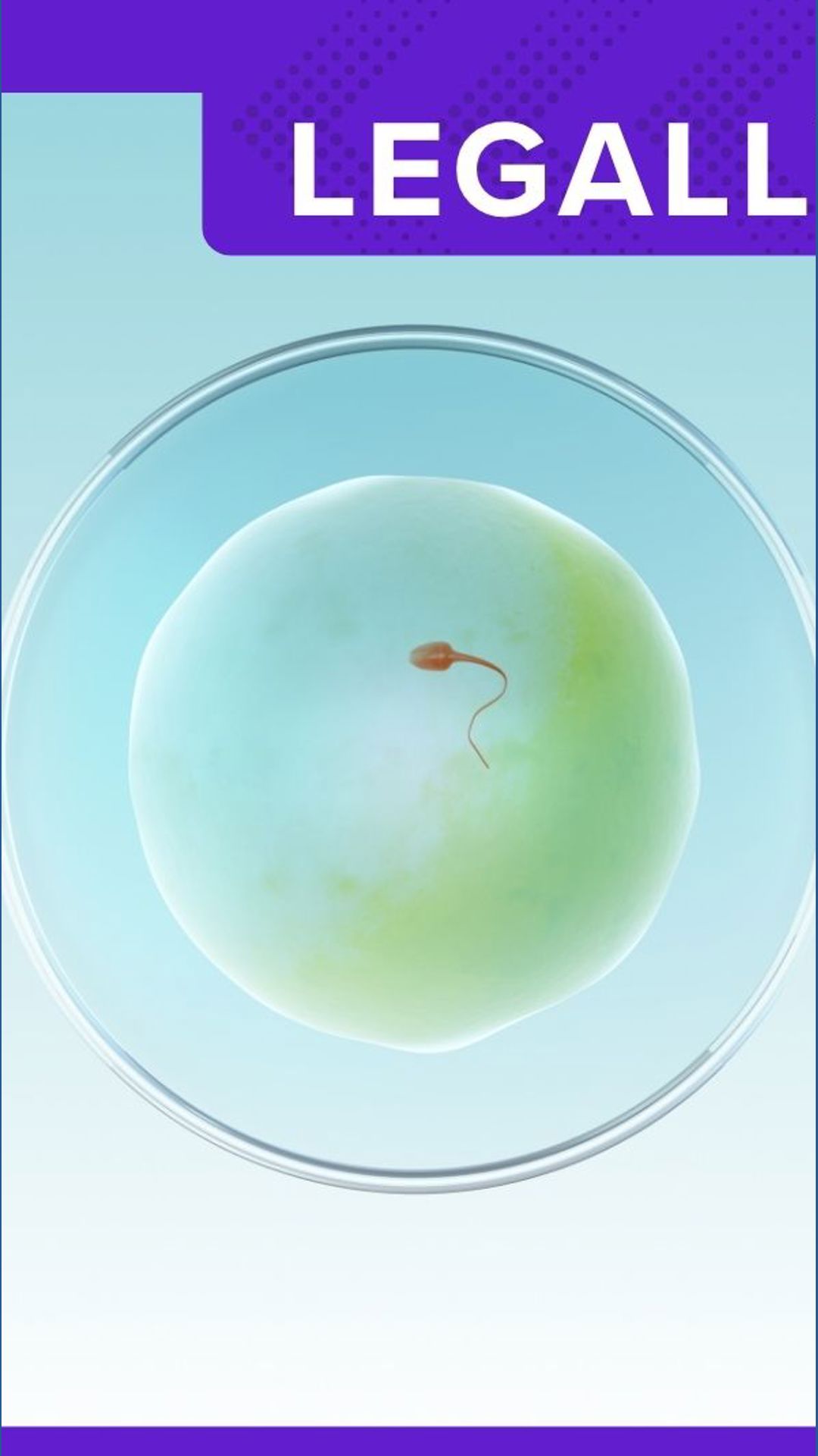 Michigan court urges new laws regarding IVF, following frozen embryo ...