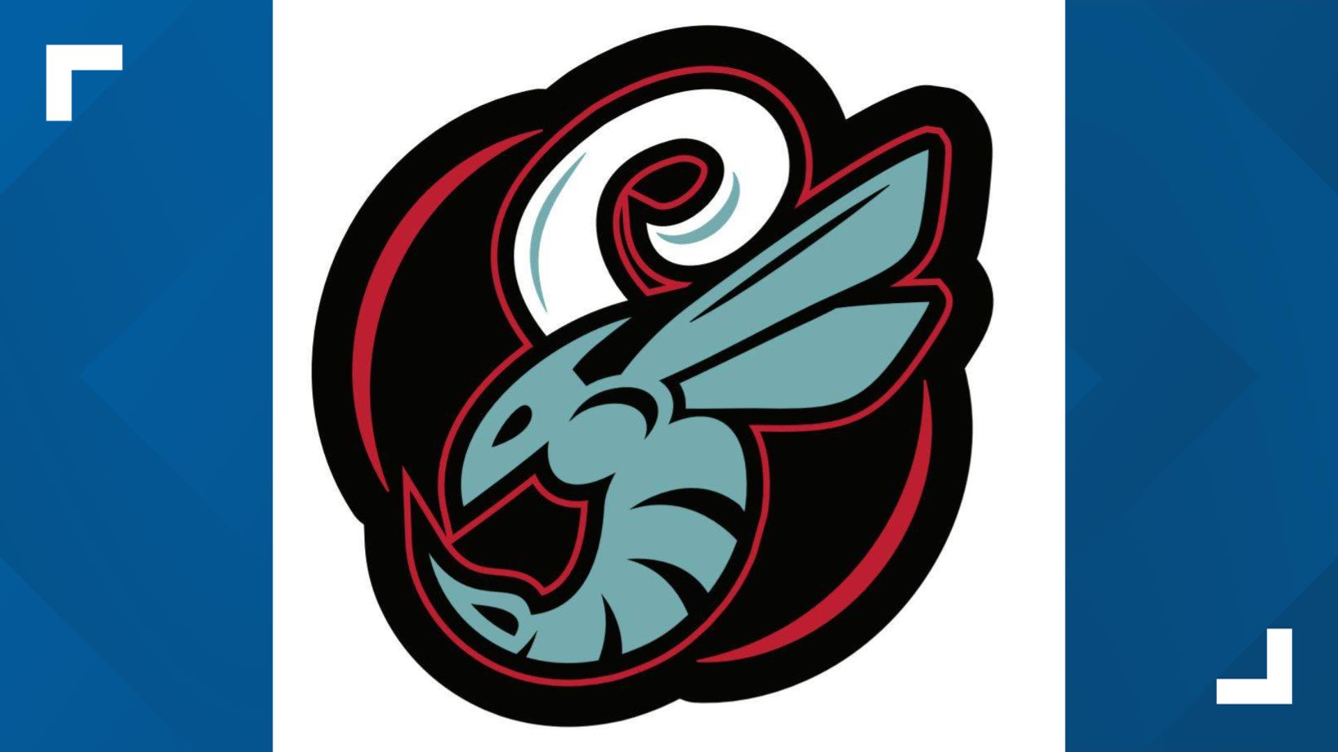 Former Toledo Mobsters hockey team has new name | wtol.com