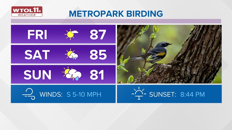 Bowsher High School changes Rebel mascot to Blue Racers | wtol.com