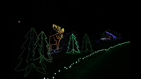 Toledo Zoo Lights Before Christmas Guide 2022 | wtol.com
