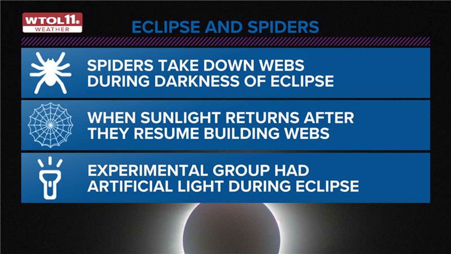 Solar eclipse and animal behavior | WTOL 11 Weather | wtol.com