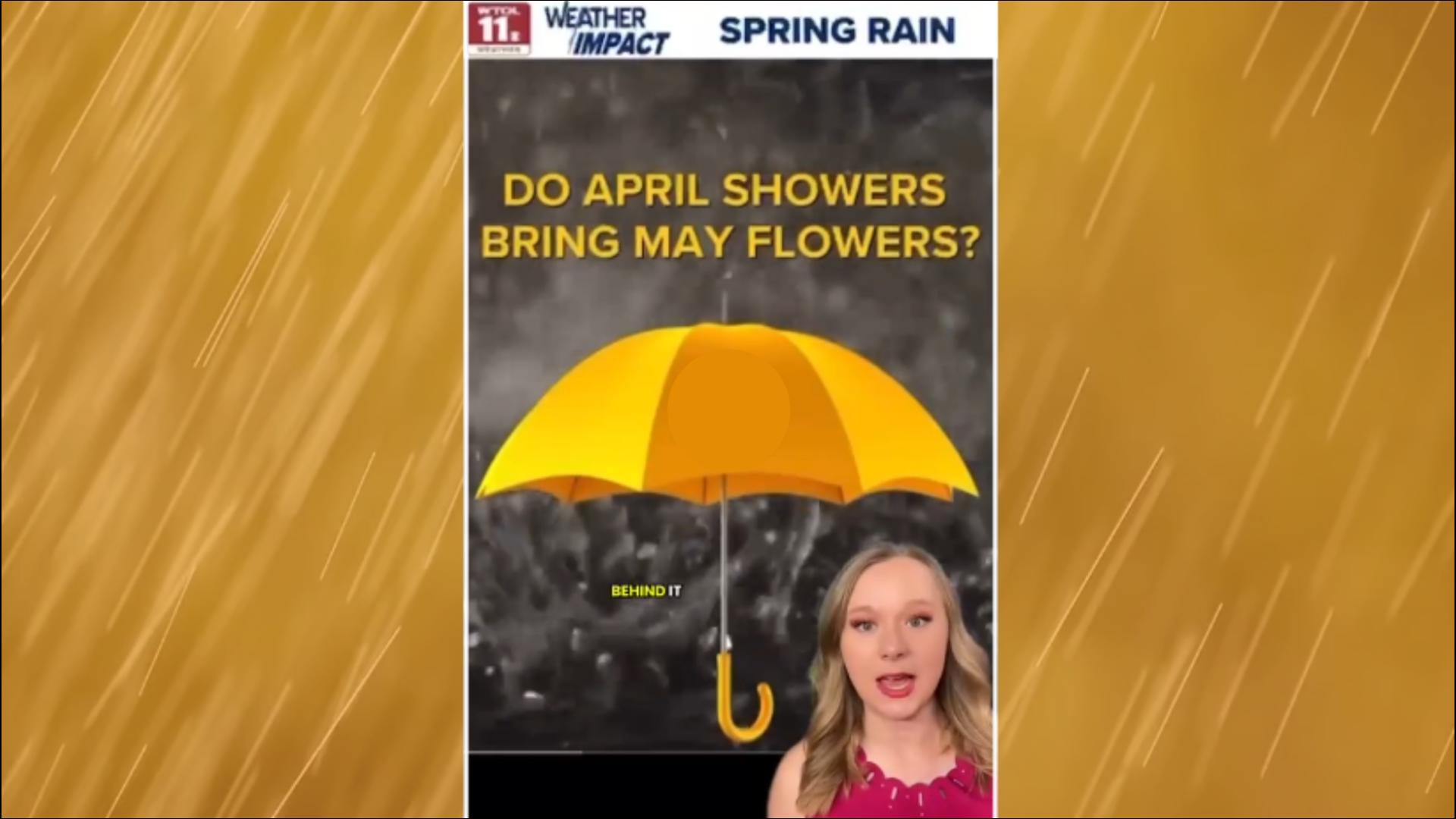 Do April showers really bring May flowers? The scientific answer | wtol.com