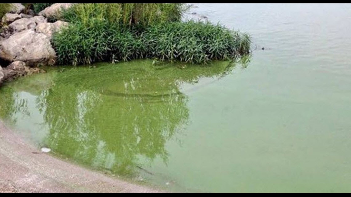 Lucas Co. commissioners suing to force U.S. EPA to enforce Clean Water ...