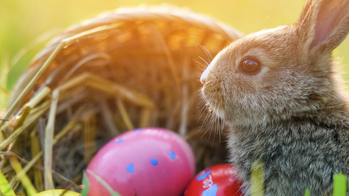 List | Events to celebrate Easter season | wtol.com