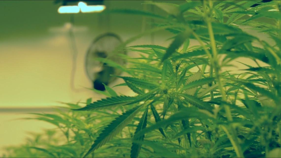 Ohio dispensaries see high recreational marijuana sales | wtol.com