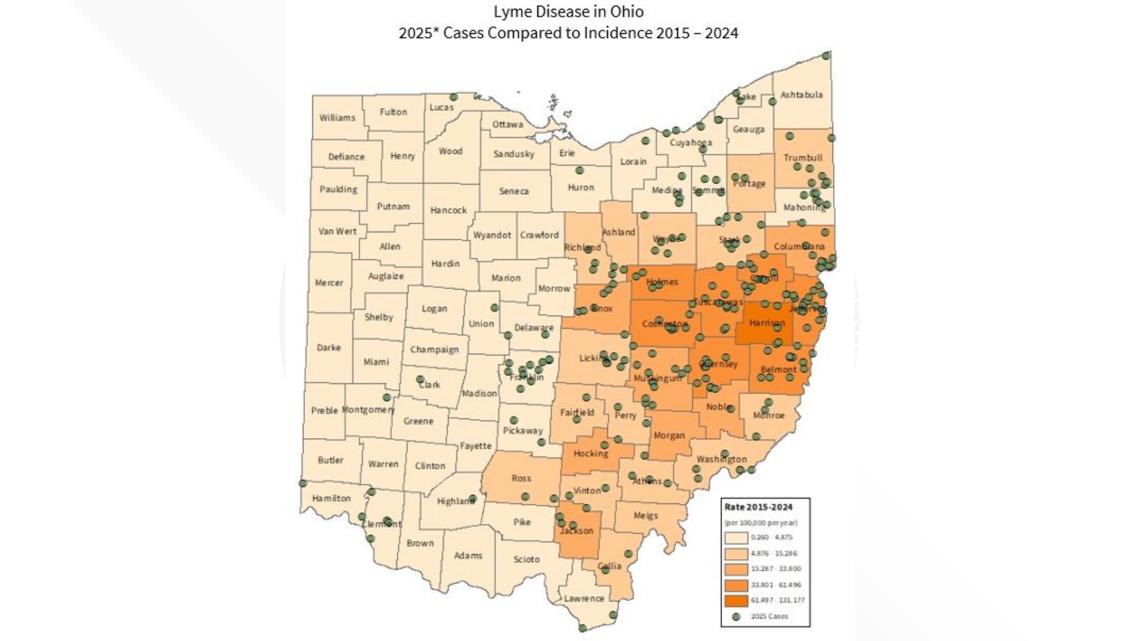 Northwest Ohio county ramps up tick monitoring amid rising Lyme disease ...