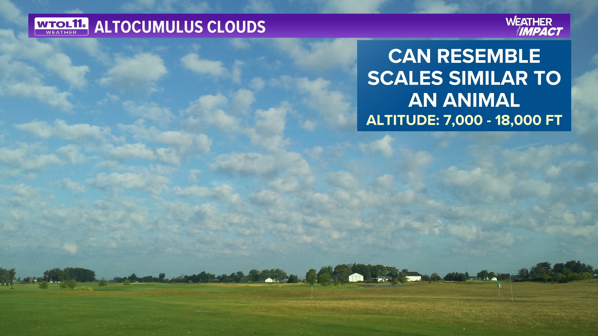 How to identify the different types of clouds: A guide | wtol.com