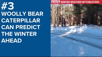 Top 10 winter weather myths busted | wtol.com