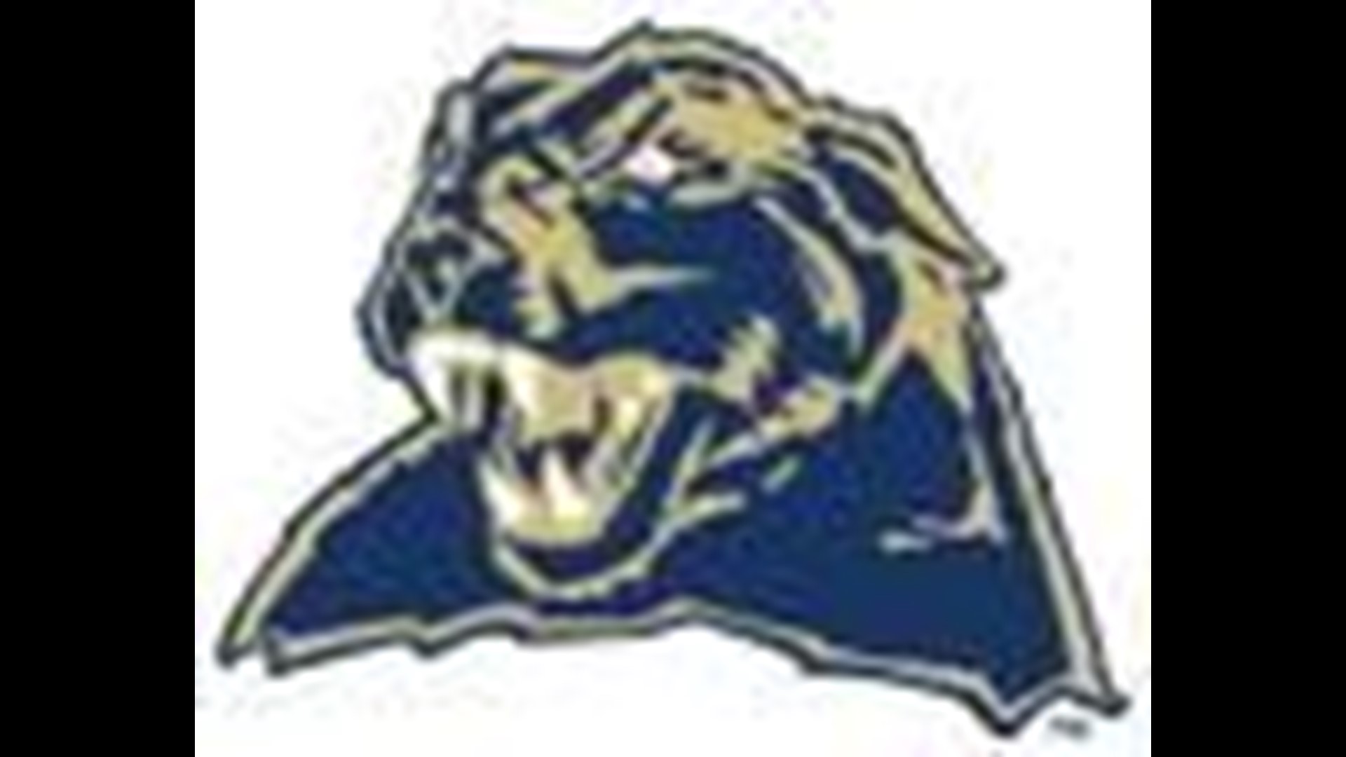 Whitmer High told to stop using panther logo | wtol.com